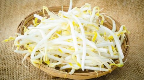 Pousses de soja : bienfaits, composition et utilisation | Gerblé