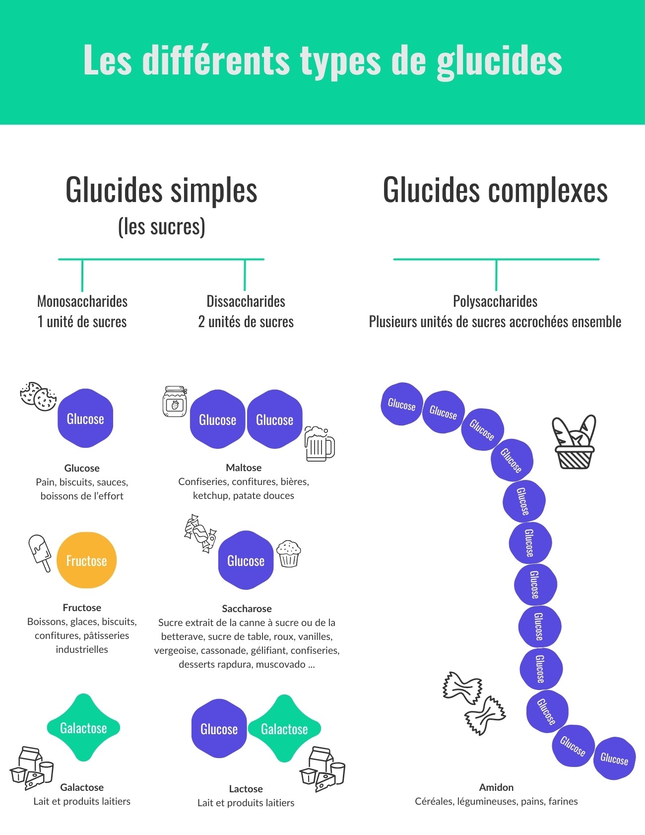 Comprendre les glucides simples et complexes | Gerblé